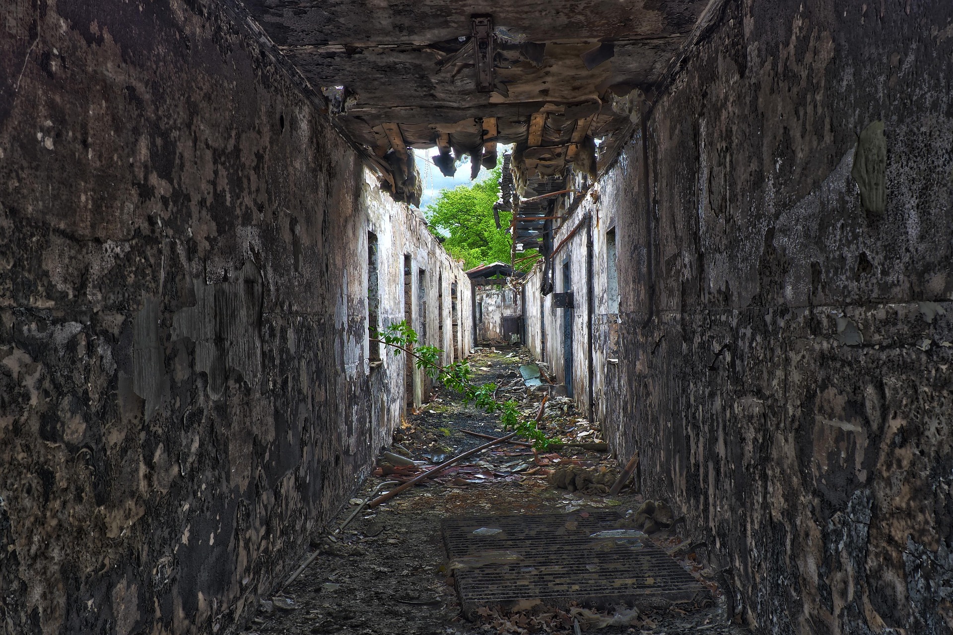 The internal collapse - Autisme - Neurodiversité